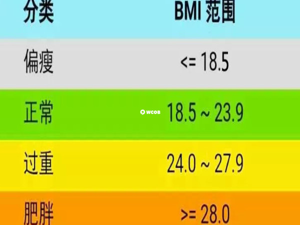 2023男女BMI正常值表分享，各项标准指标都一目了然 - WCOB